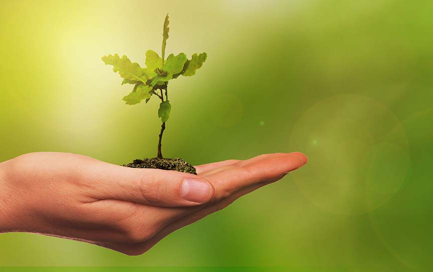 SUSTAINABILITY – Trade4Market